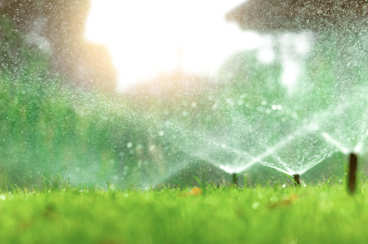 Sprinklers – EZ FLOW Sprinkler & Handyman Services
